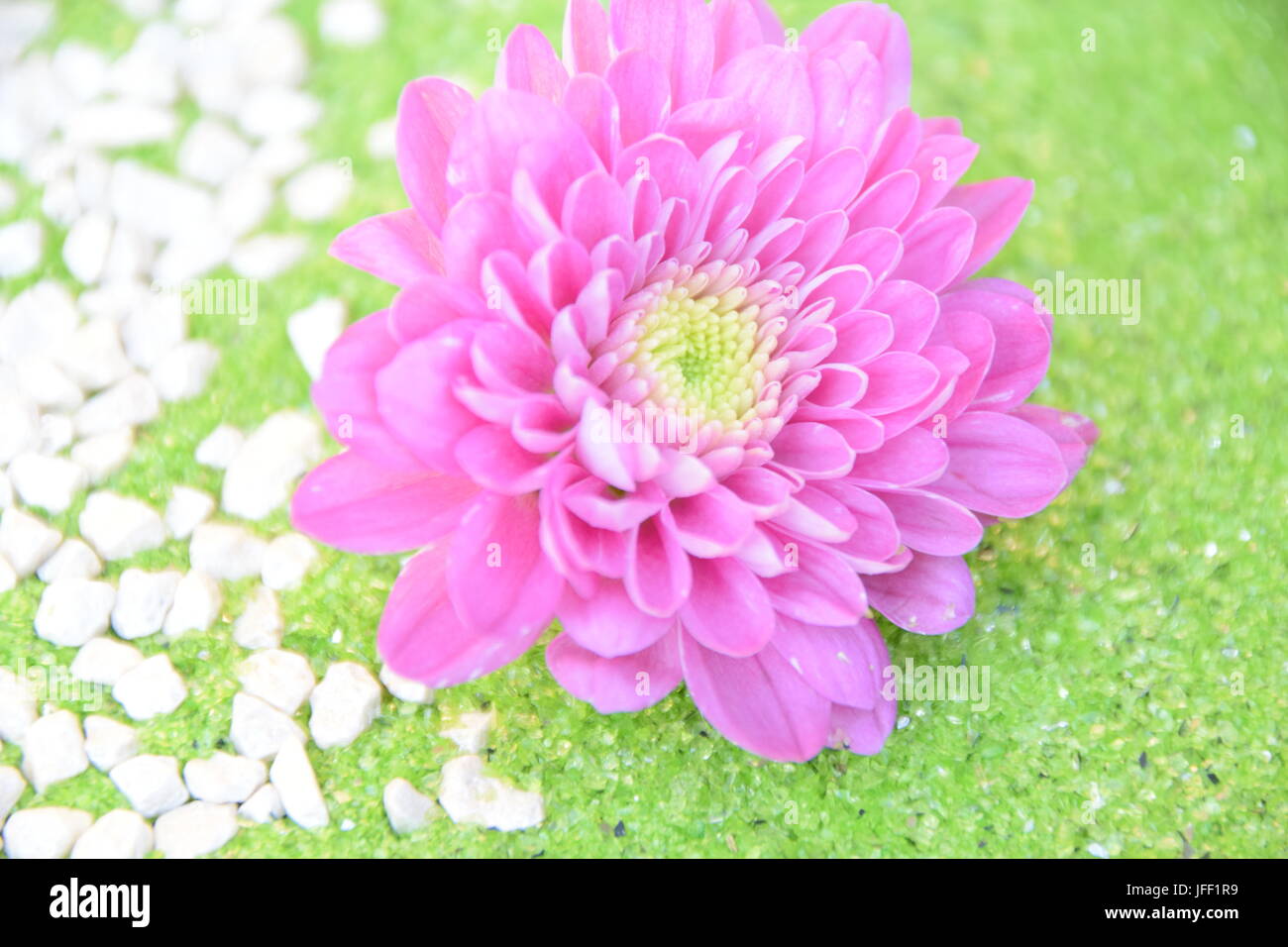 gentle colors of a zen atmosphere of relaxation and tranquility Stock ...