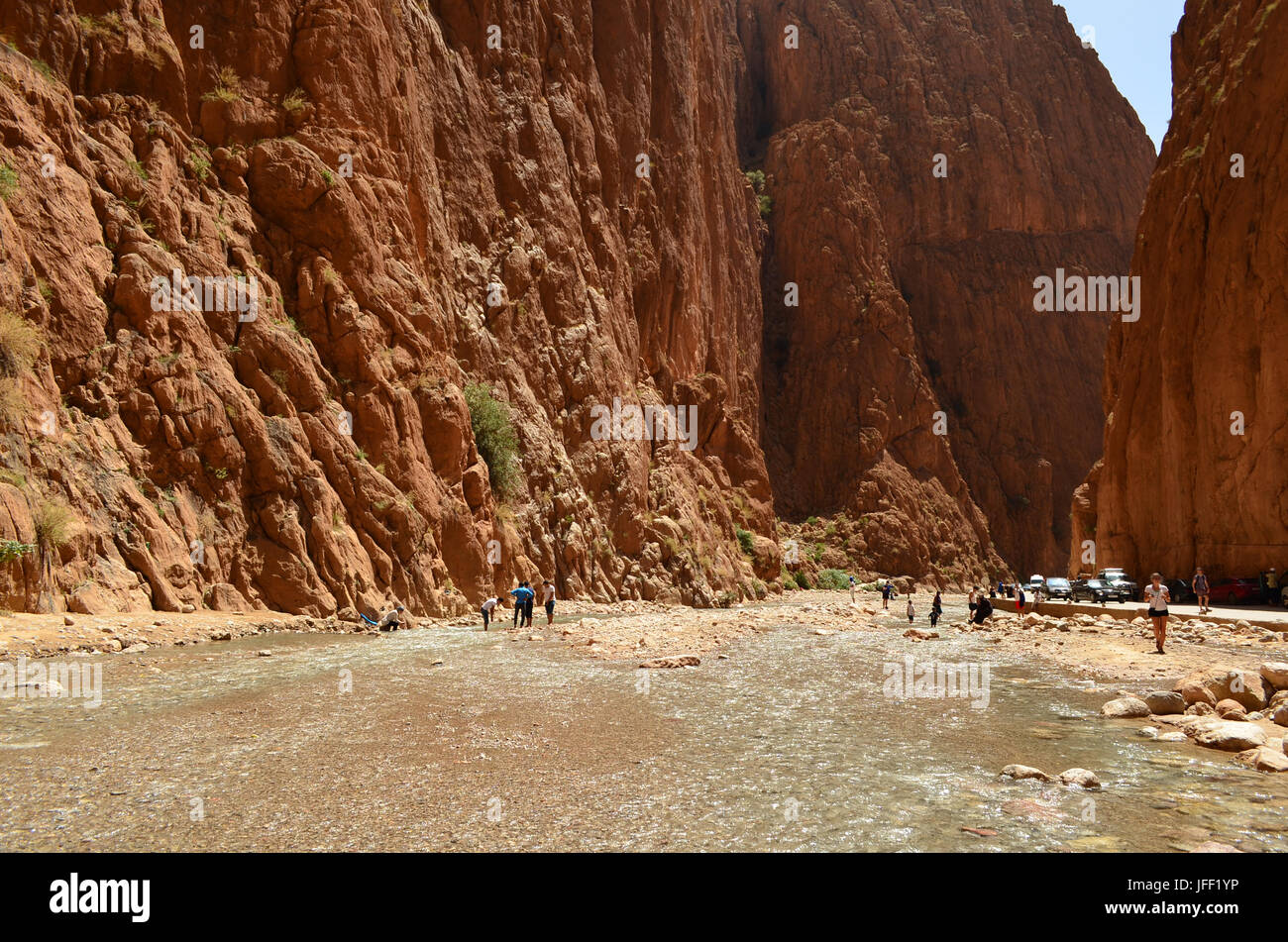 Landscape View of Todgha Gorge Canyon at Dadès River in High Atlas ...