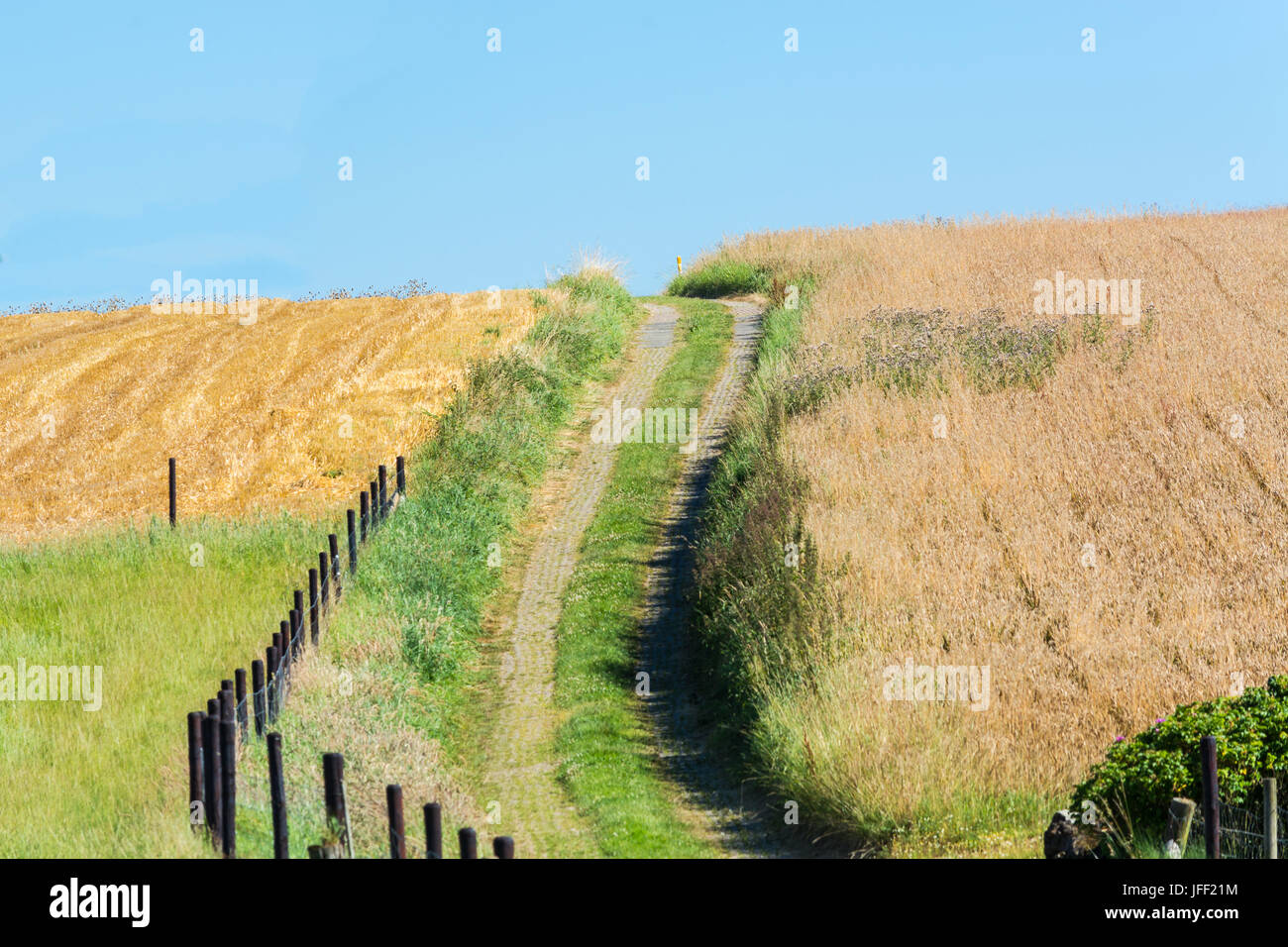 Dirt paths hi-res stock photography and images - Alamy