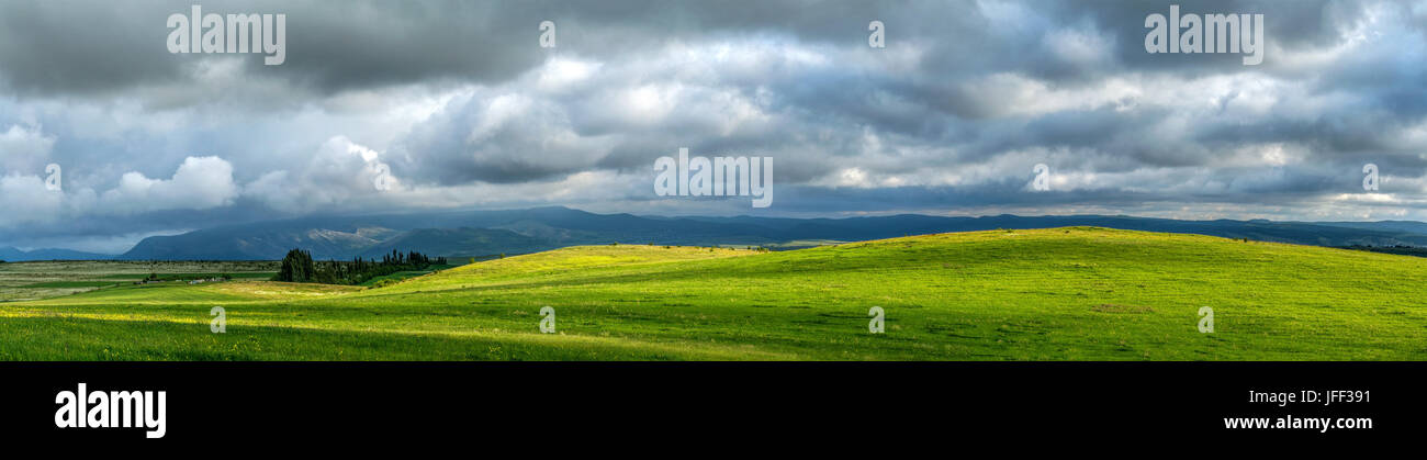 pasture on a mountain plateau Stock Photo - Alamy