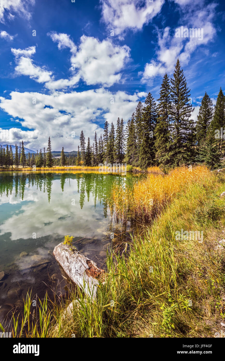 The shallow round lake Stock Photo - Alamy