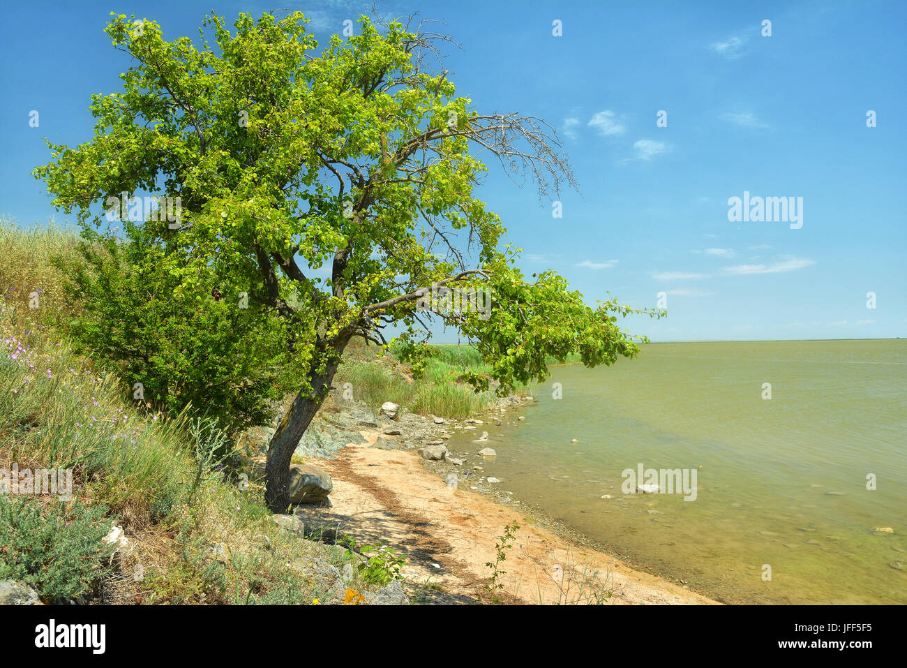 Shore of Lake Sinoe where is standing the ancient ruins of the city of ...