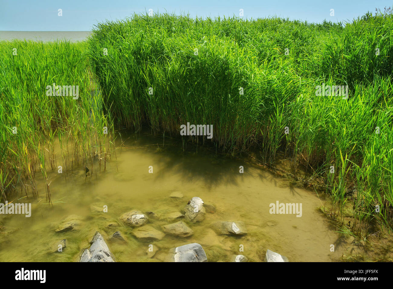 Shore of Lake Sinoe where is standing the ancient ruins of the city of ...