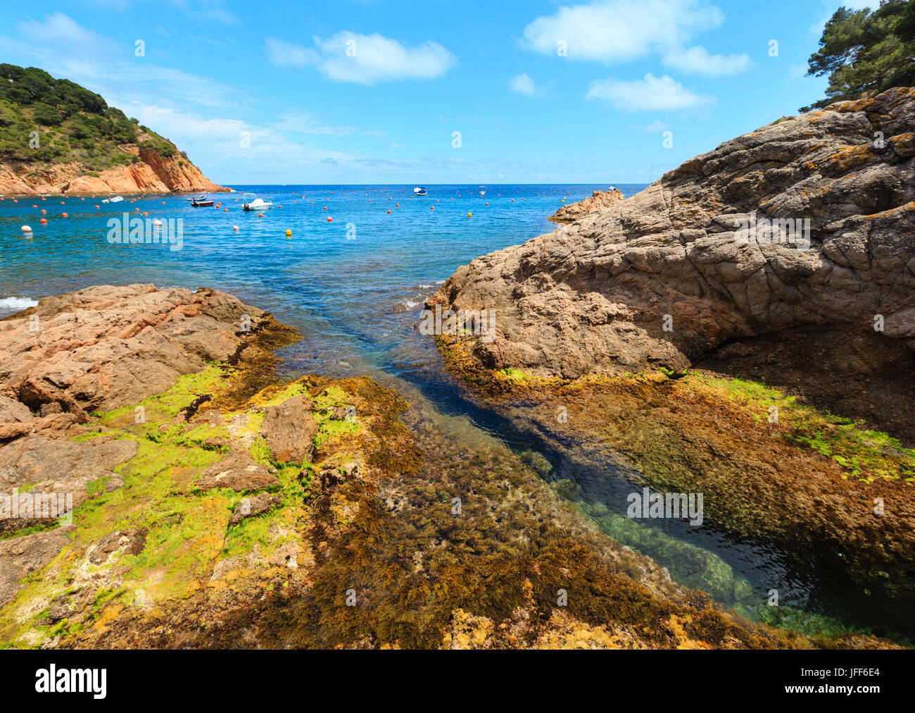 Tamariu bay, Costa Brava, Spain Stock Photo - Alamy