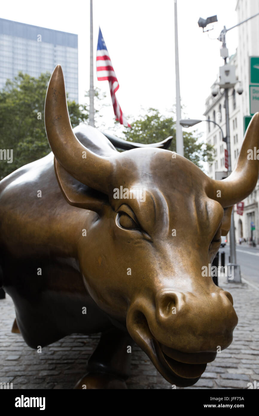 the charging bull Stock Photo - Alamy