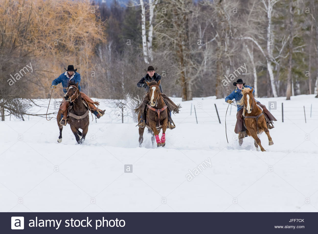 Cowboys In Snow Stock Photos & Cowboys In Snow Stock Images - Alamy