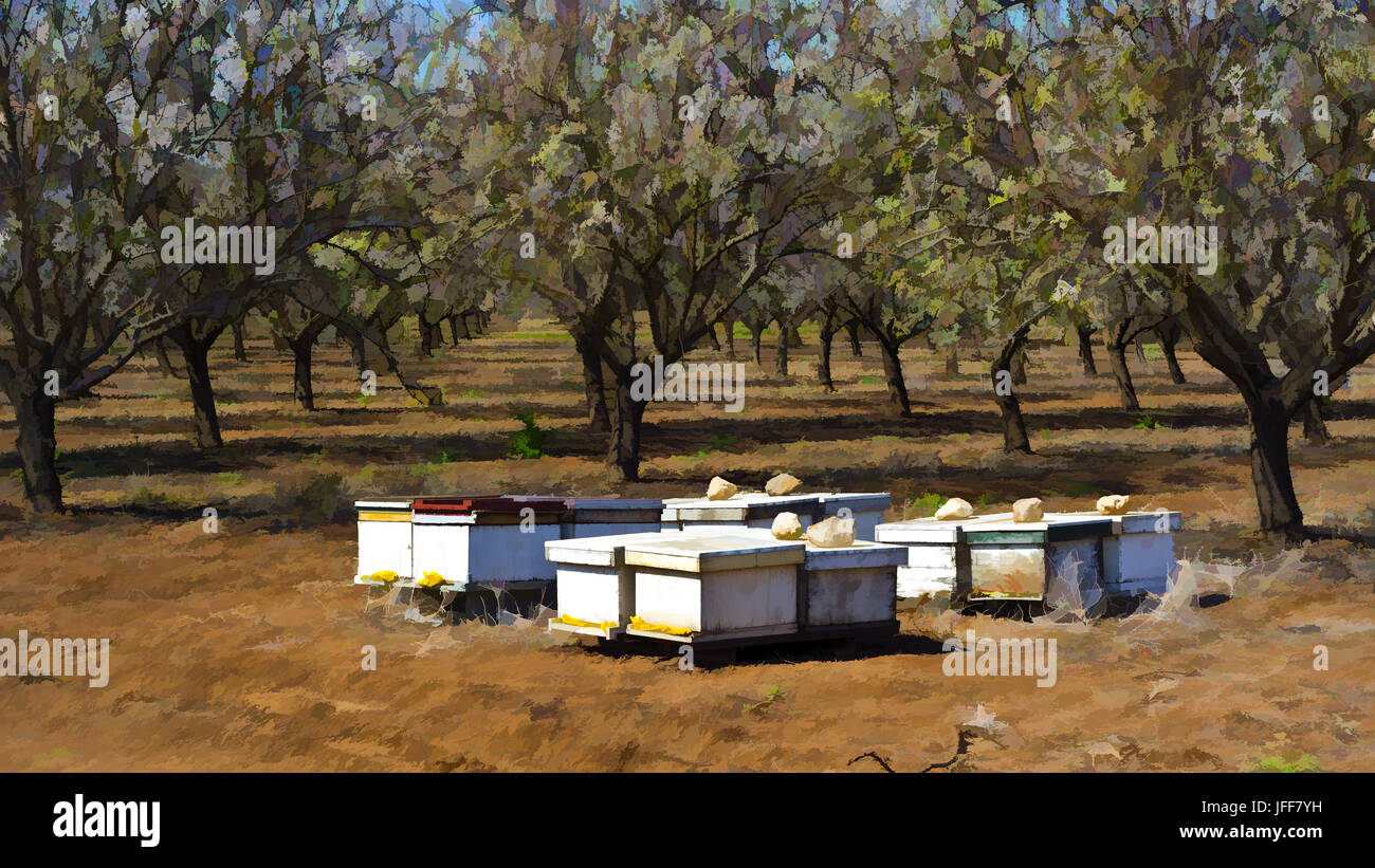 Bee apiary in rural landscape hi-res stock photography and images - Alamy