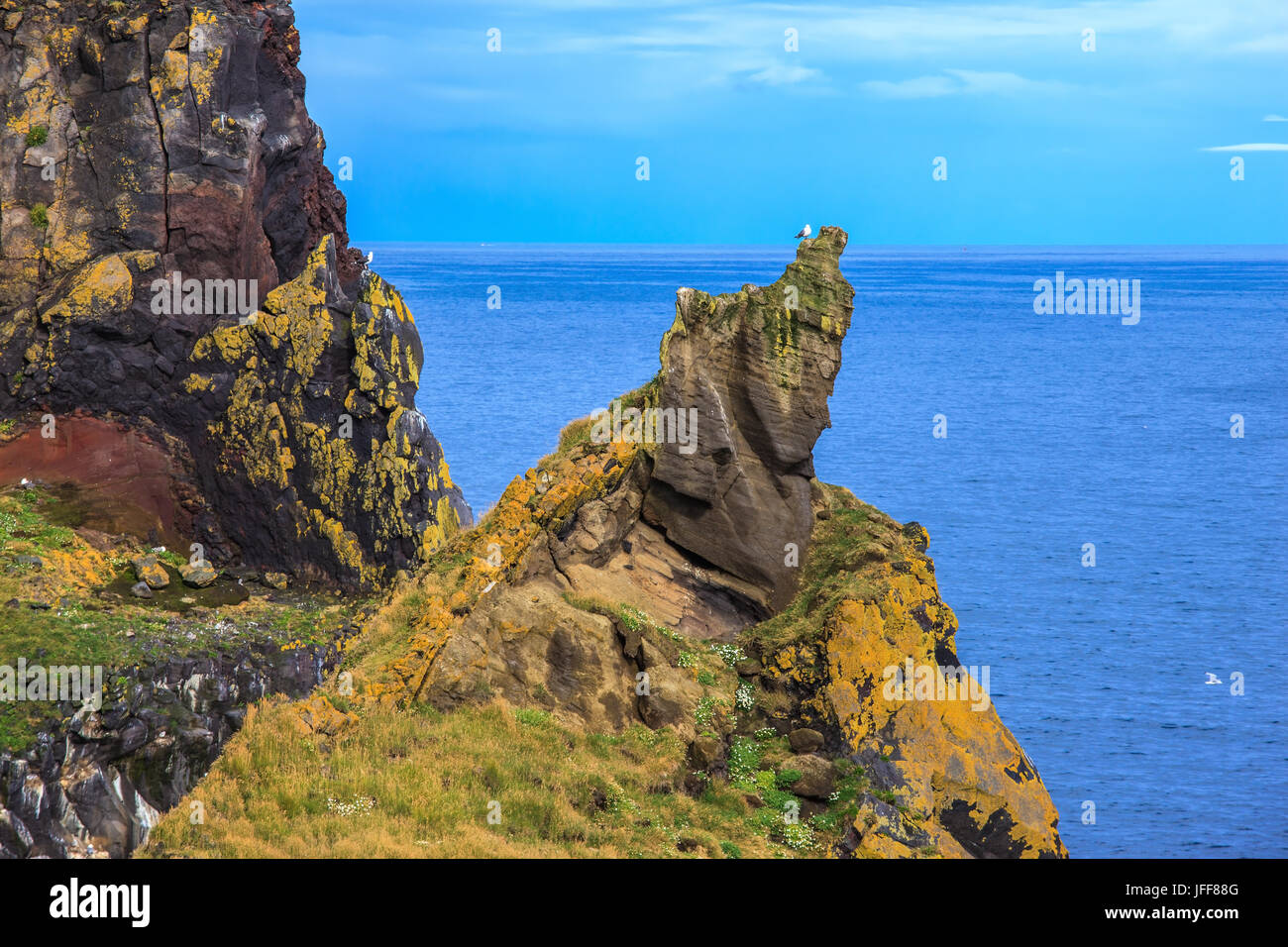 Ancient moss hi-res stock photography and images - Alamy