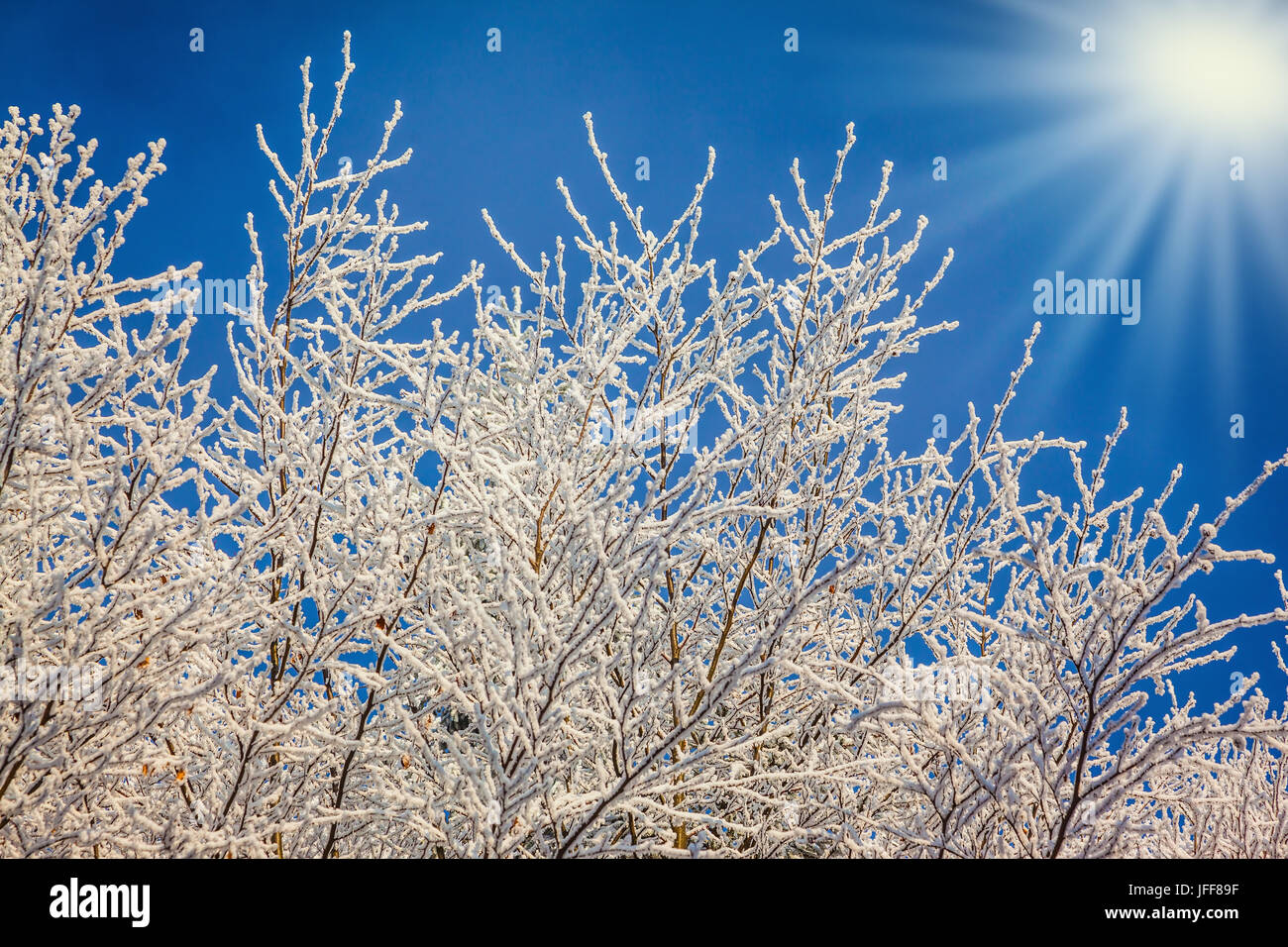 Cold and sunny morning hi-res stock photography and images - Alamy