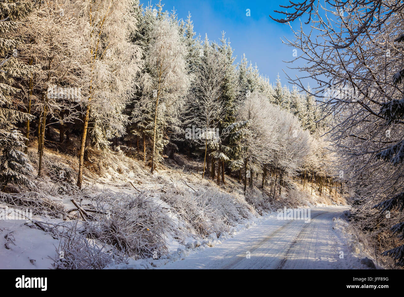 Bright winter morning outdoors in hi-res stock photography and images ...