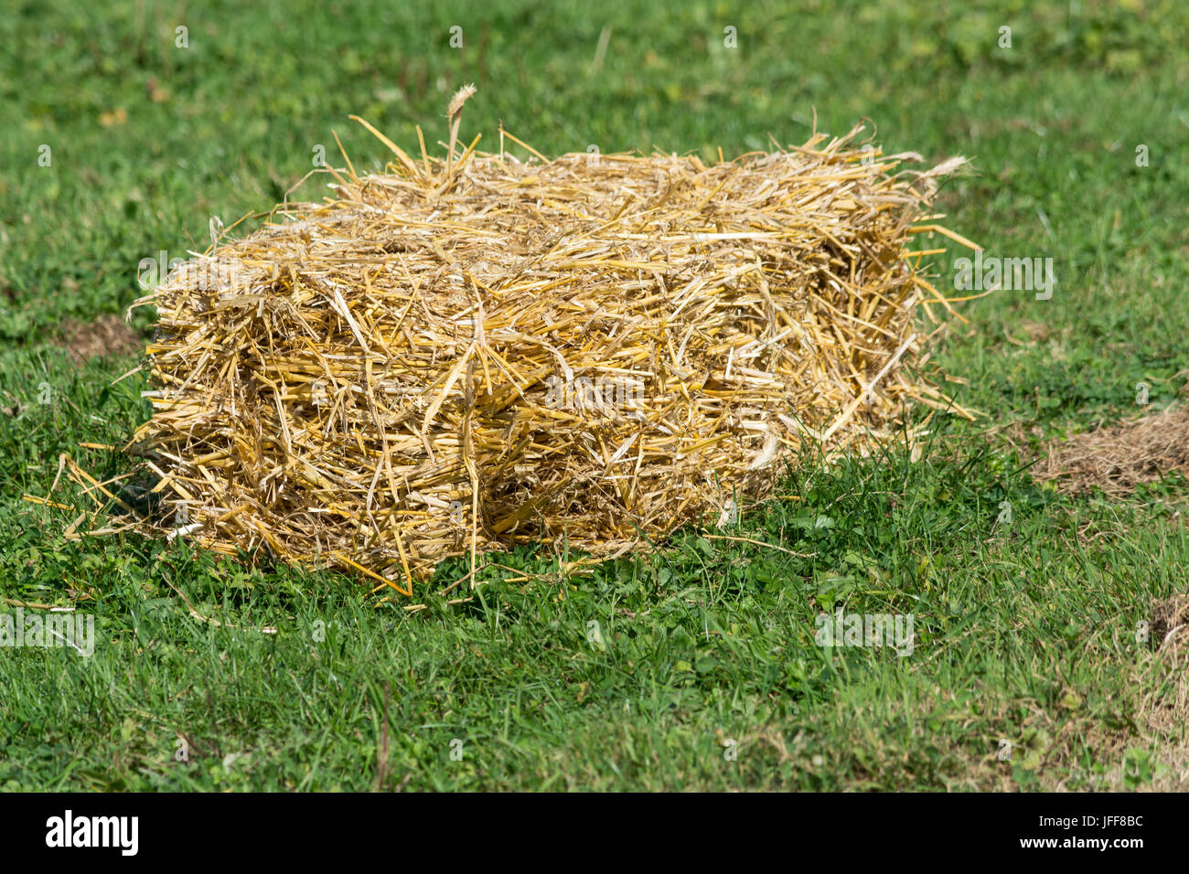 Straw bales mini hi-res stock photography and images - Alamy