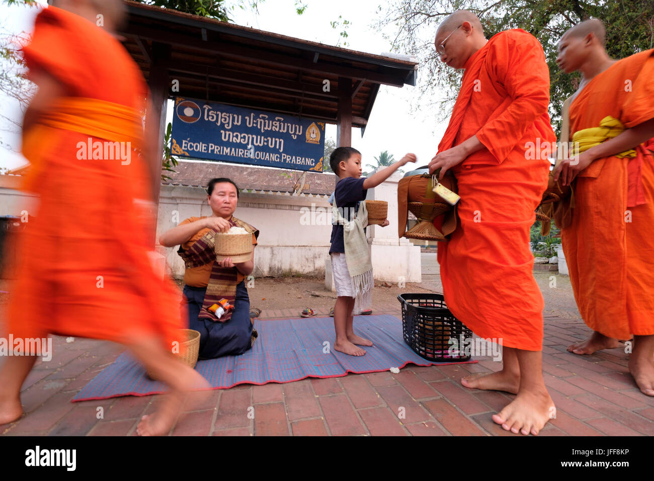 Kid gives sticky rice to buddhist monks wearing orange robes on the ...