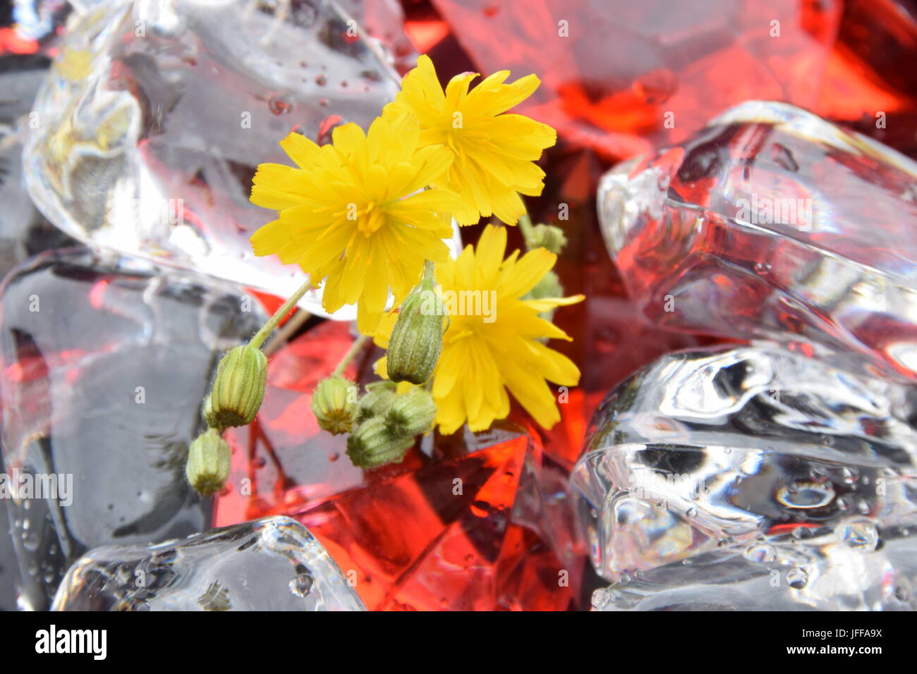 abstract optic of gems, background for spring Stock Photo - Alamy