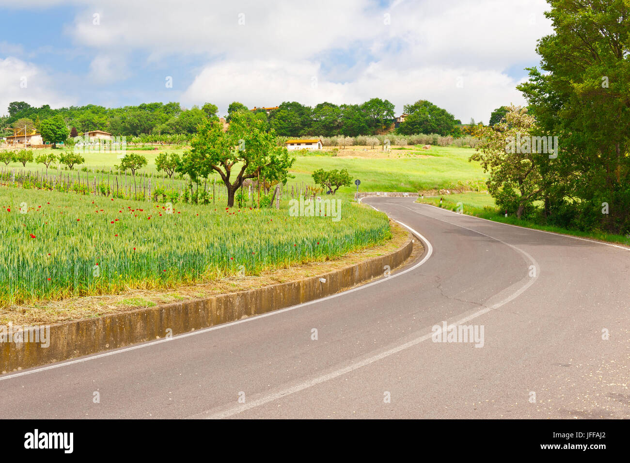 Italian countryside flower road hi-res stock photography and images - Alamy