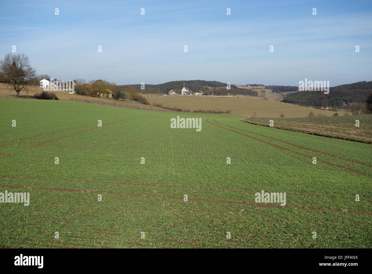 Winterweizen pflanzen hi-res stock photography and images - Alamy