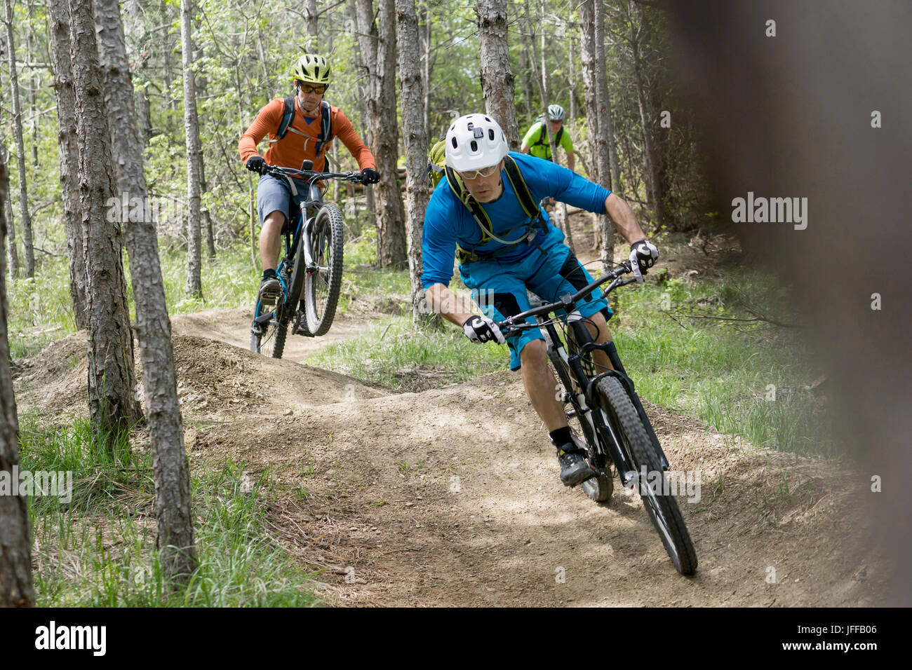Group of men mountain biking through forest Stock Photo - Alamy