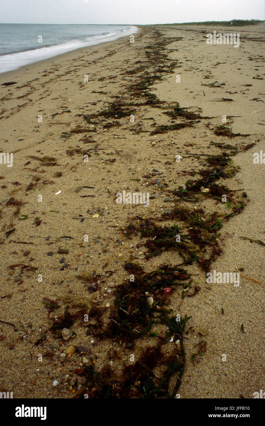Sand spit cape cod hi-res stock photography and images - Alamy