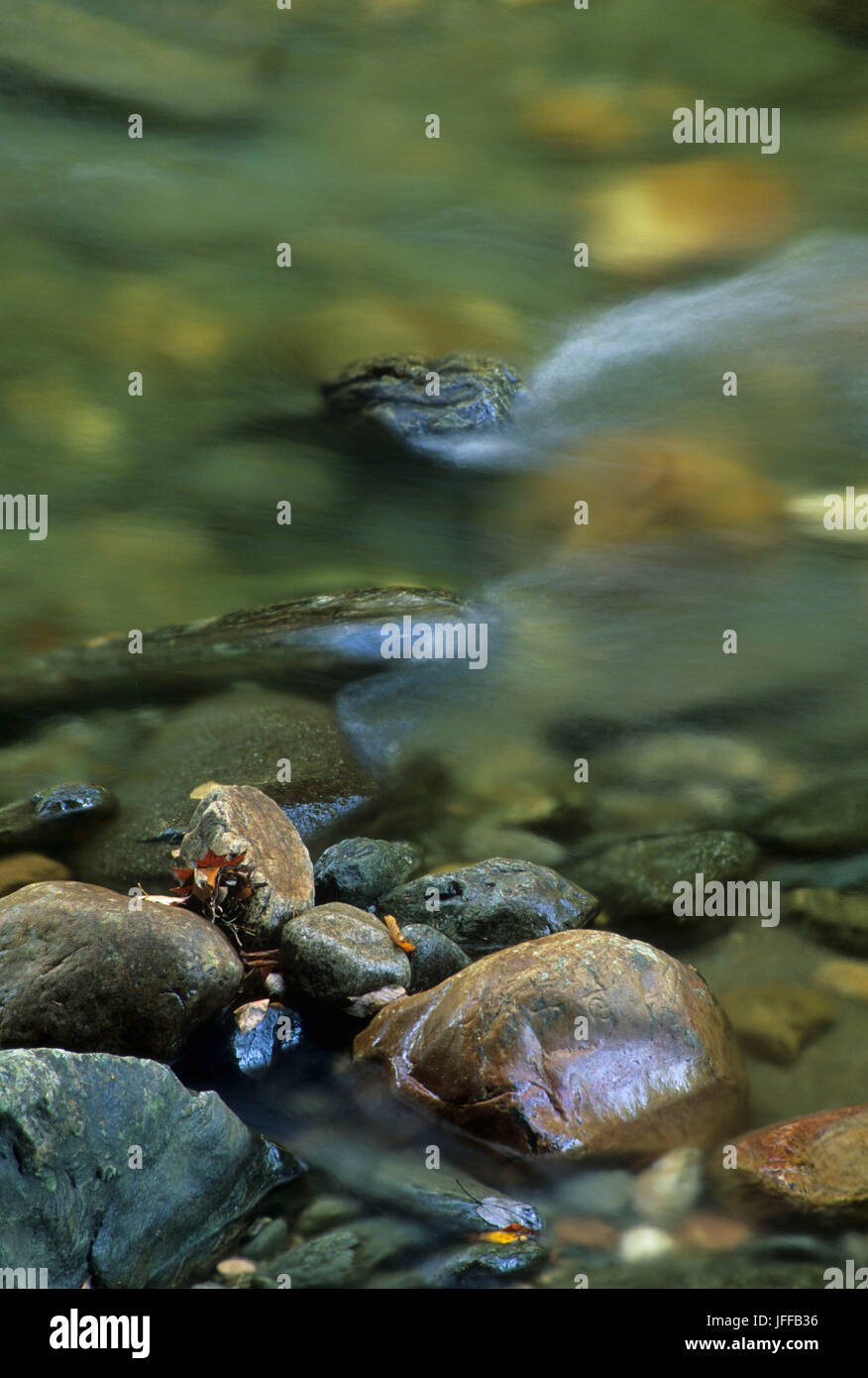 Cold River, Mohawk Trail State Forest, Massachusetts Stock Photo - Alamy