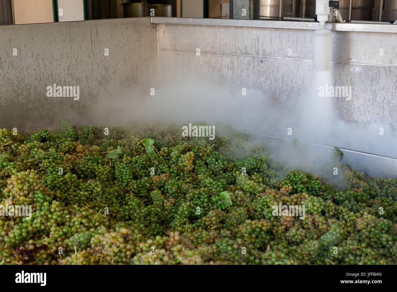 White grape bunches processed with nitrogen Stock Photo - Alamy