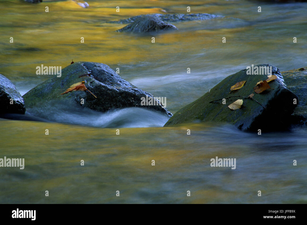 Cold River, Mohawk Trail State Forest, Massachusetts Stock Photo - Alamy