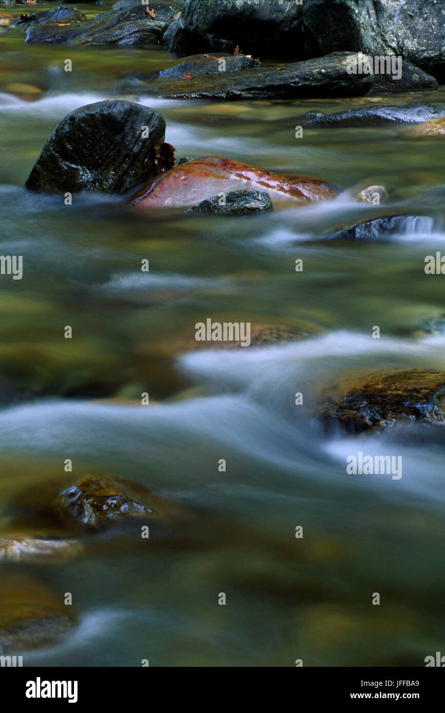 Cold River, Mohawk Trail State Forest, Massachusetts Stock Photo - Alamy