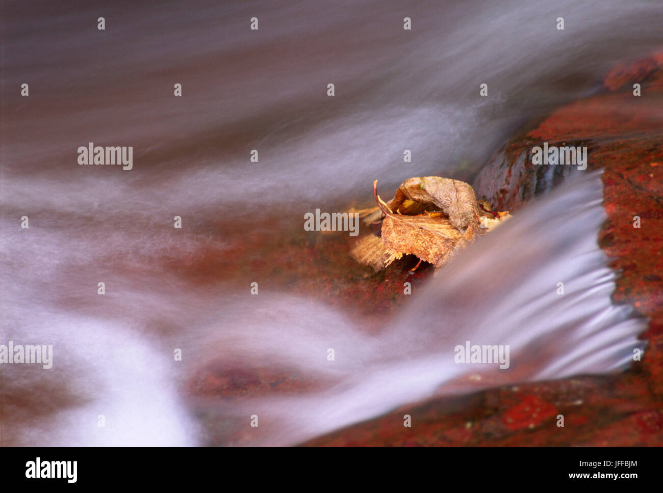 Caribou River, George Crosby Manitou State Park, Minnesota Stock Photo ...