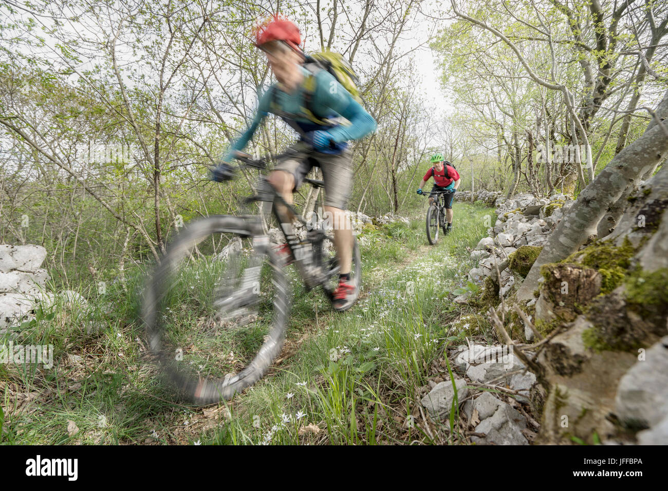 Bikers biking through narrow path in forest Stock Photo - Alamy