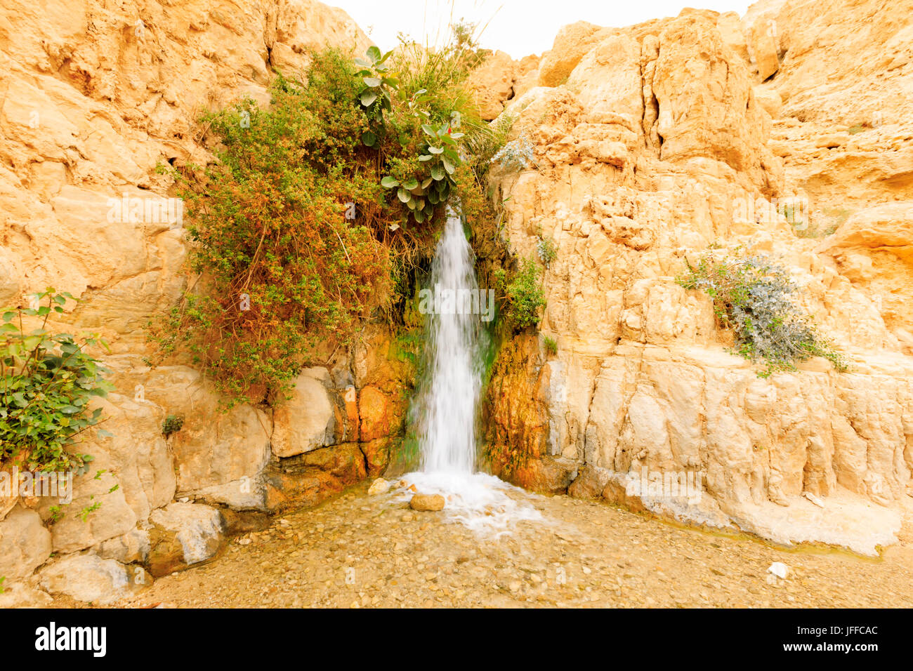 Ein Gedi Nature Reserve in Israel Stock Photo - Alamy
