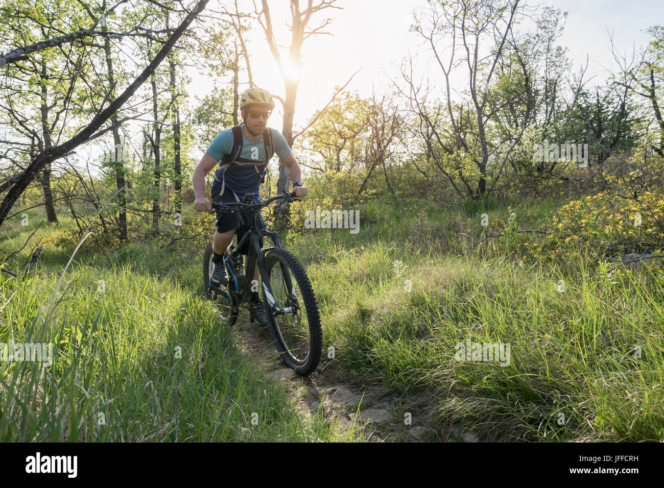 Biker riding through trails in forest Stock Photo - Alamy