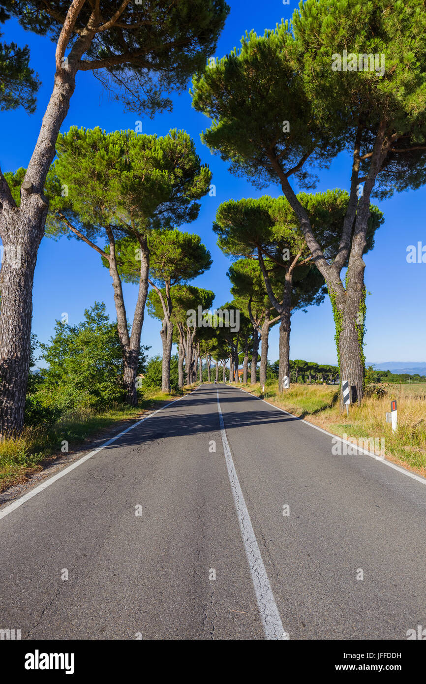 Tuscany trees with car hi-res stock photography and images - Alamy