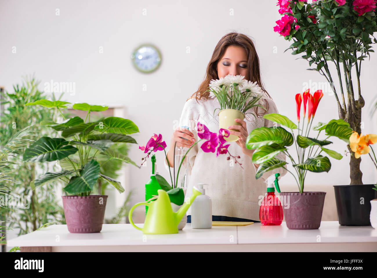 Young woman looking after plants at home Stock Photo - Alamy