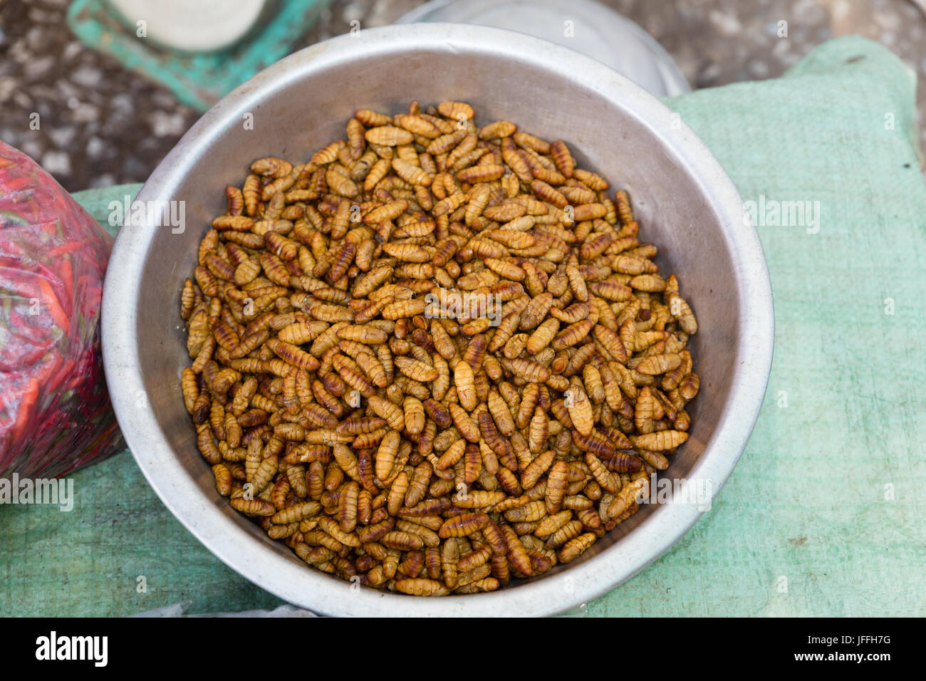 wasp larvae at market Stock Photo - Alamy