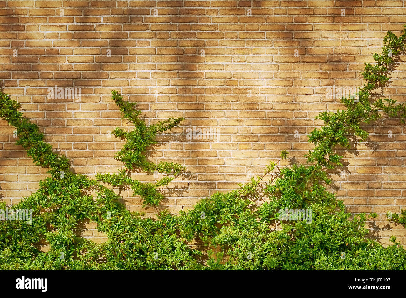 Clambering hi-res stock photography and images - Alamy