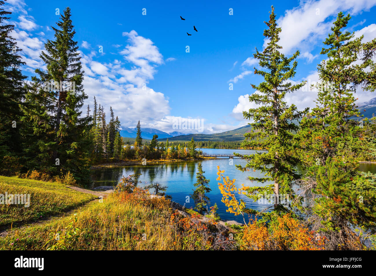 Pyramid Lake among the tall pines and firs Stock Photo - Alamy