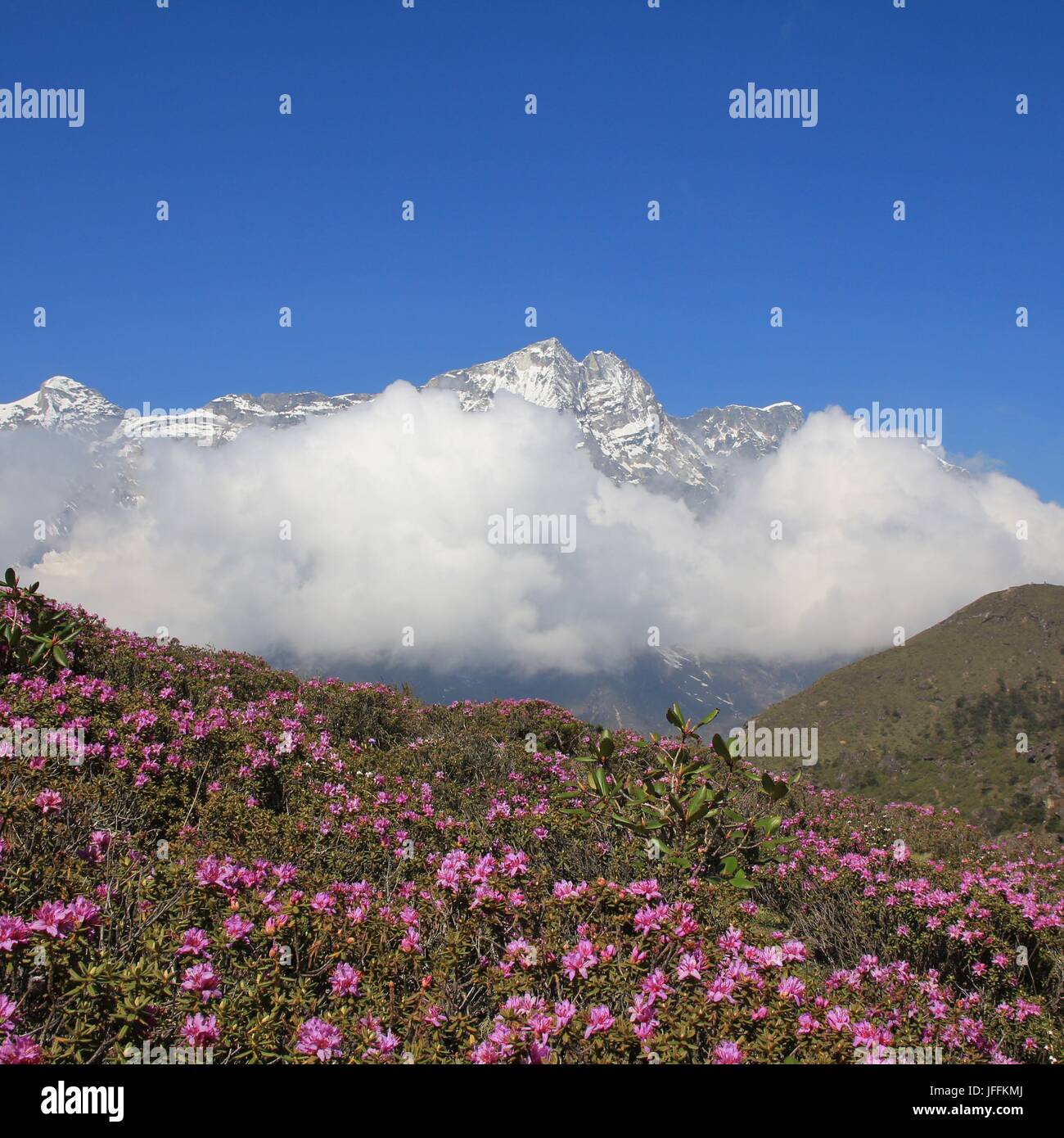 Spring day in the Everest National Park Stock Photo - Alamy