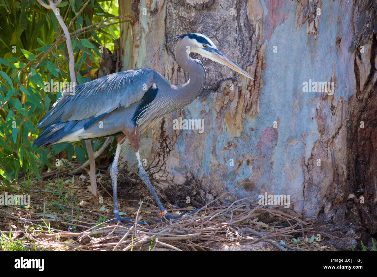 Redirect hi-res stock photography and images - Alamy