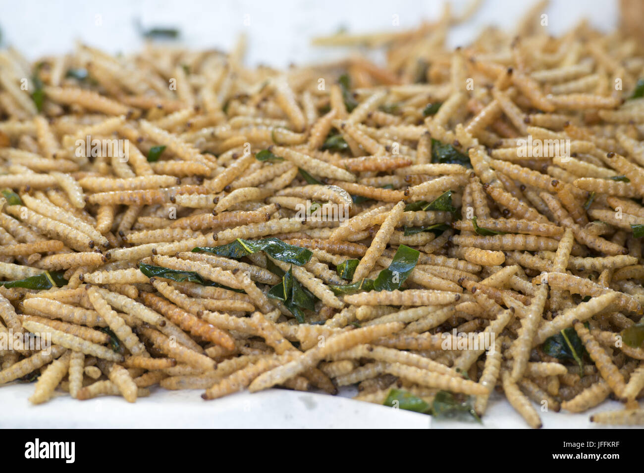 Food insects hi-res stock photography and images - Alamy