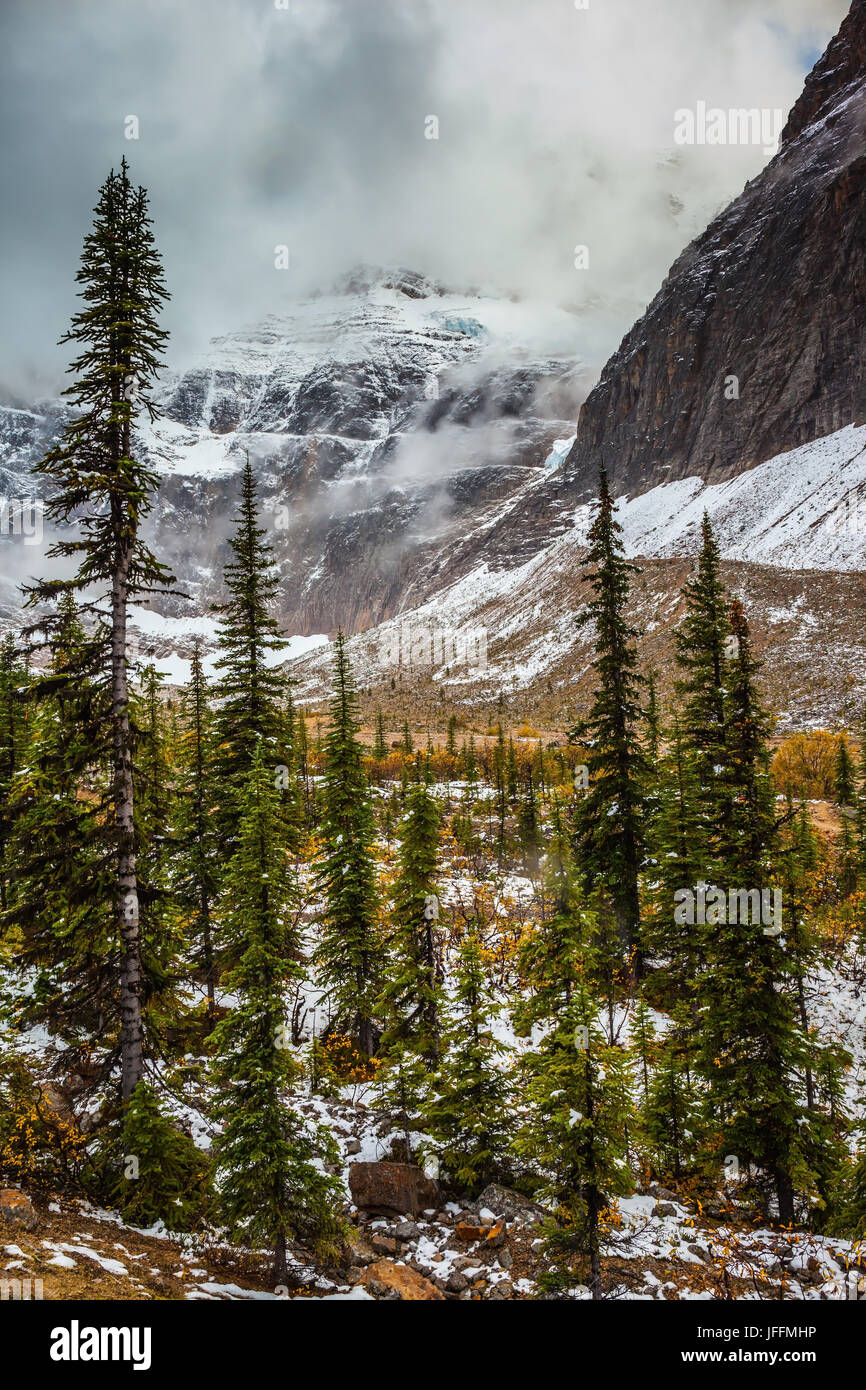 When snow fell hi-res stock photography and images - Alamy