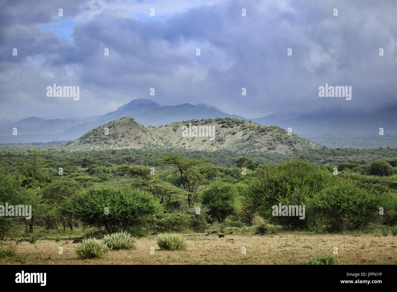 Tsavo national park in hi-res stock photography and images - Alamy