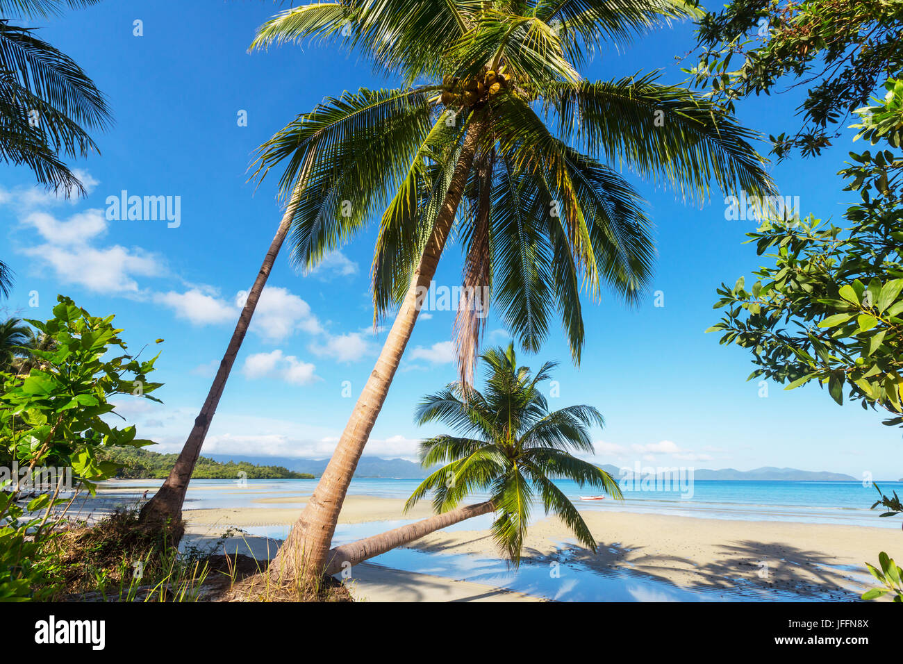 Palm tre silhouette hi-res stock photography and images - Alamy
