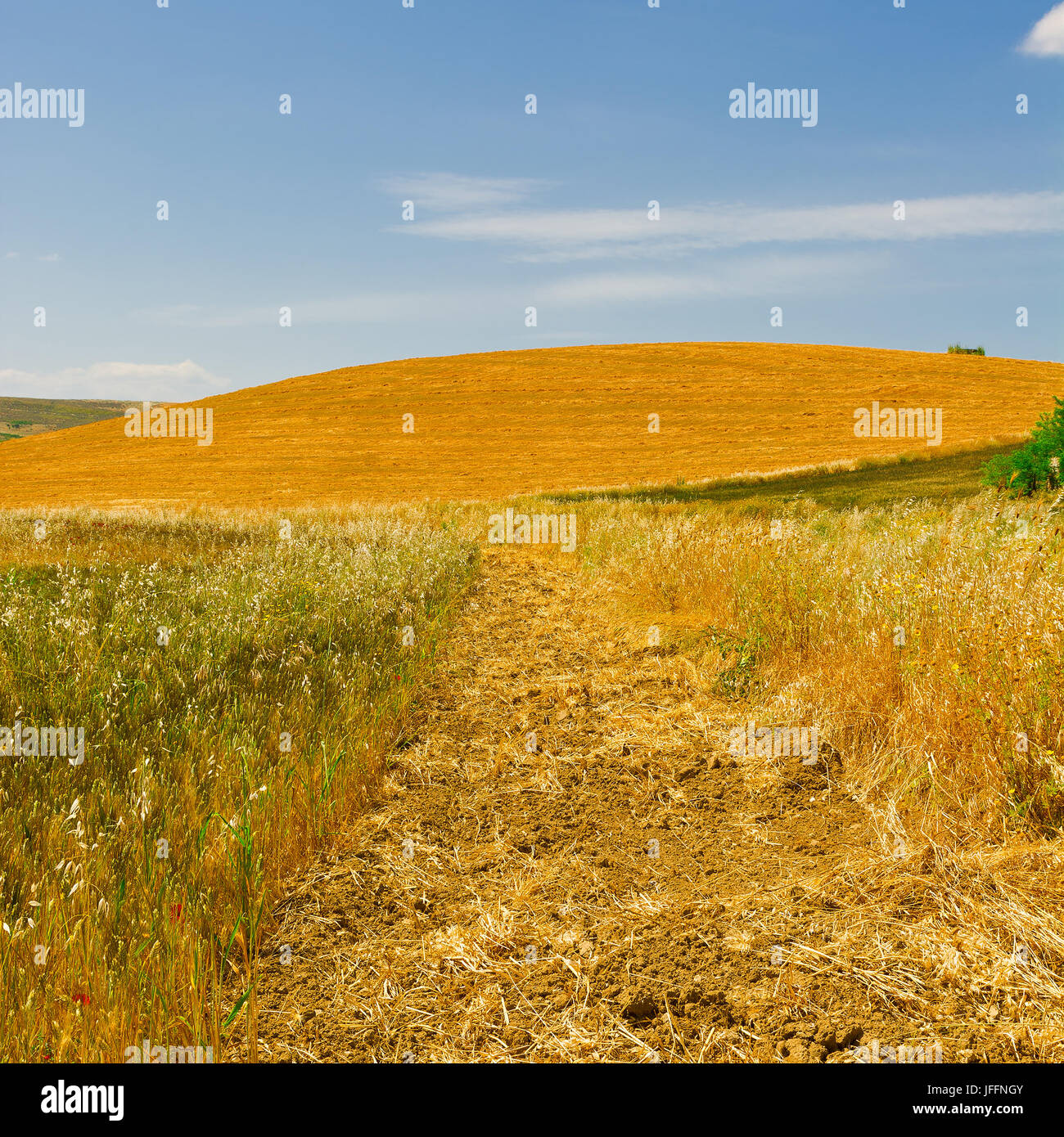 Italy wheat field after harvest hi-res stock photography and images - Alamy