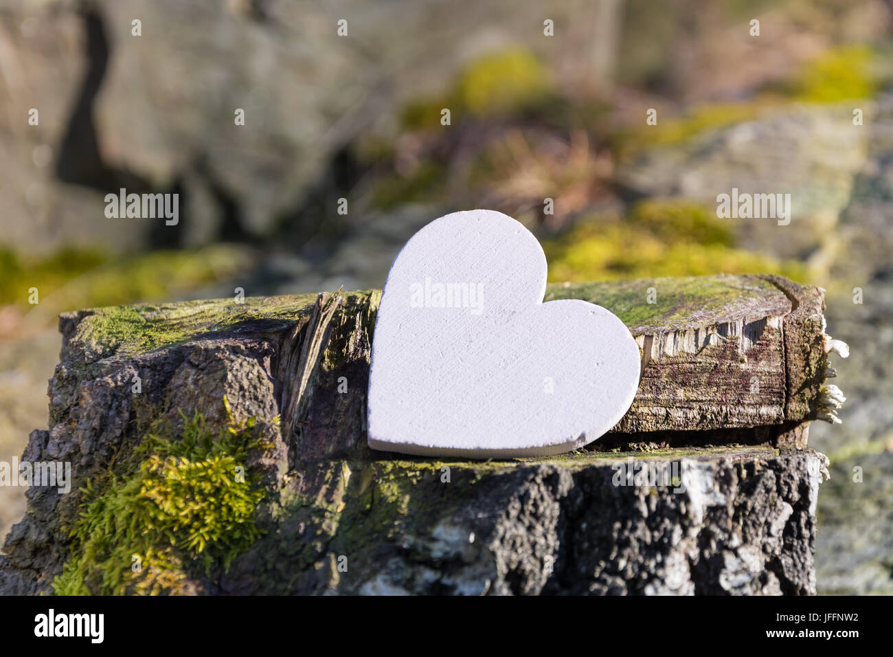 Stump shape hi-res stock photography and images - Alamy