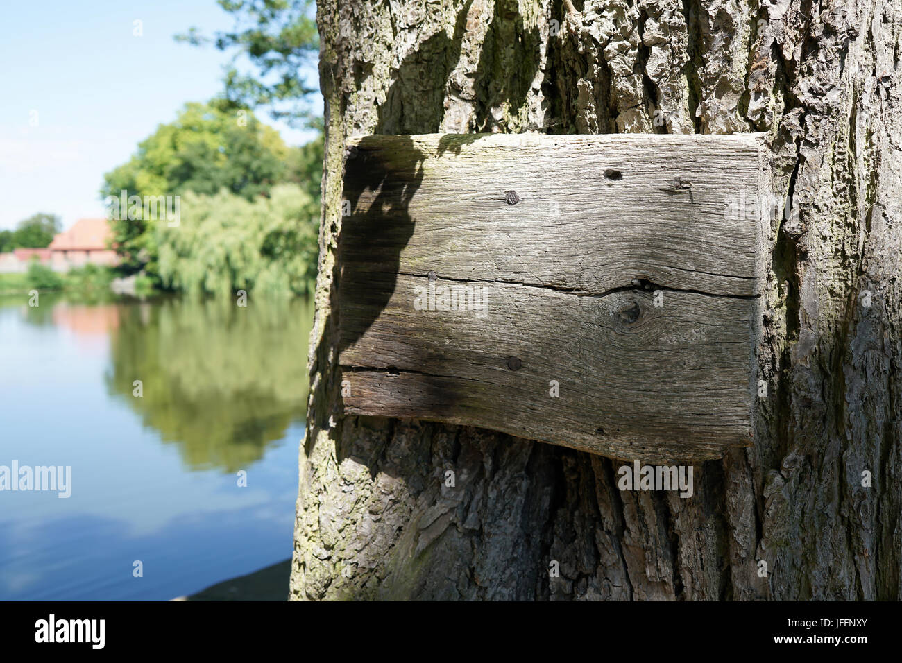 Tree signboard hi-res stock photography and images - Alamy