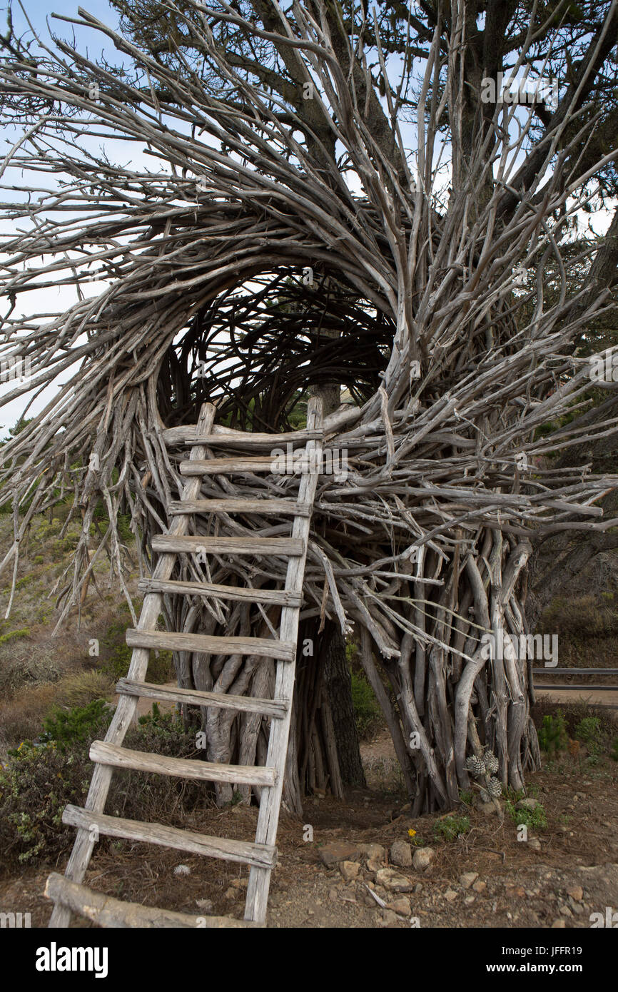 At the Treebones Resort, an artist has created a human-sized nest for ...