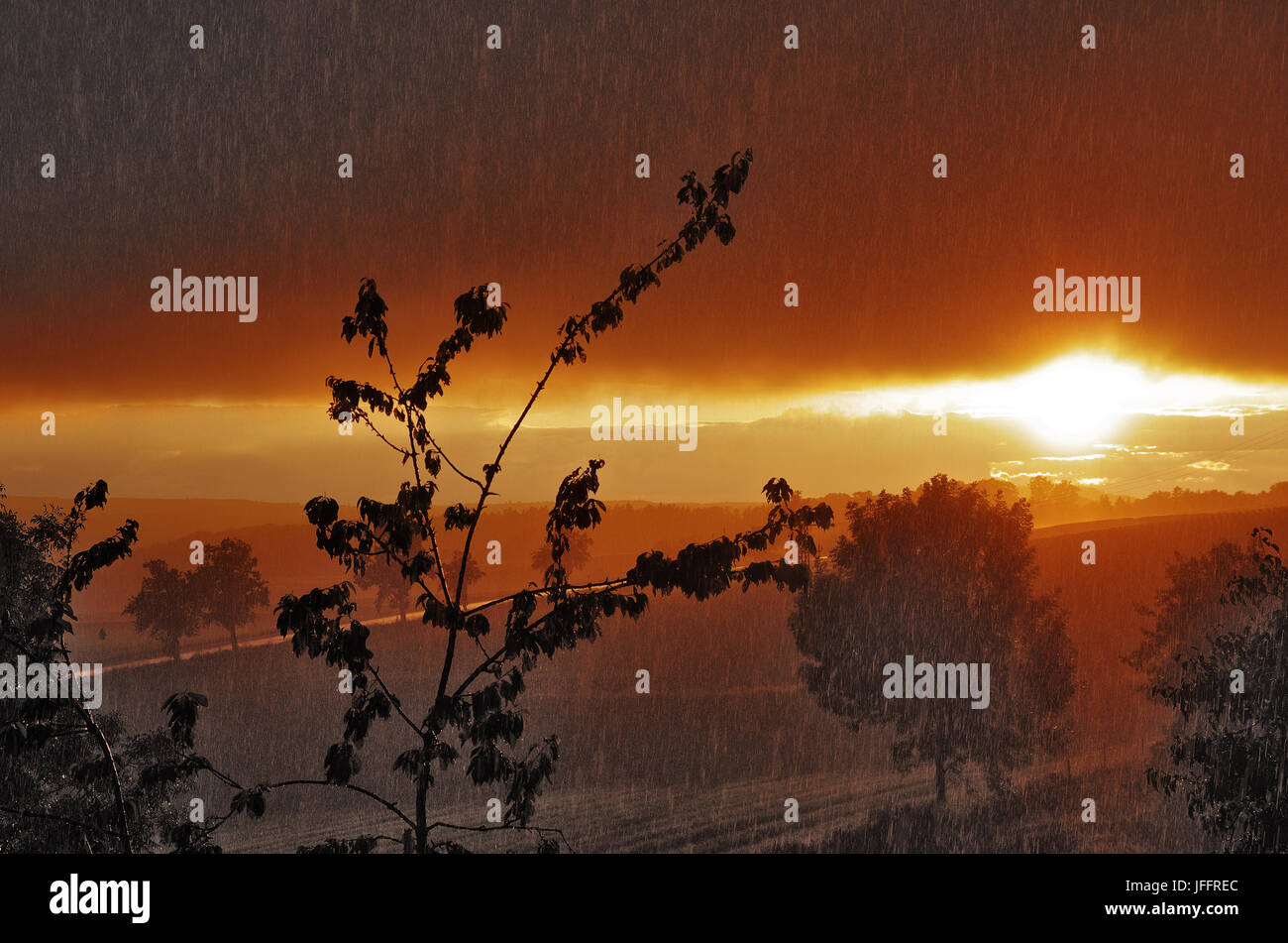 Thunderstorm rain at sunset Stock Photo - Alamy