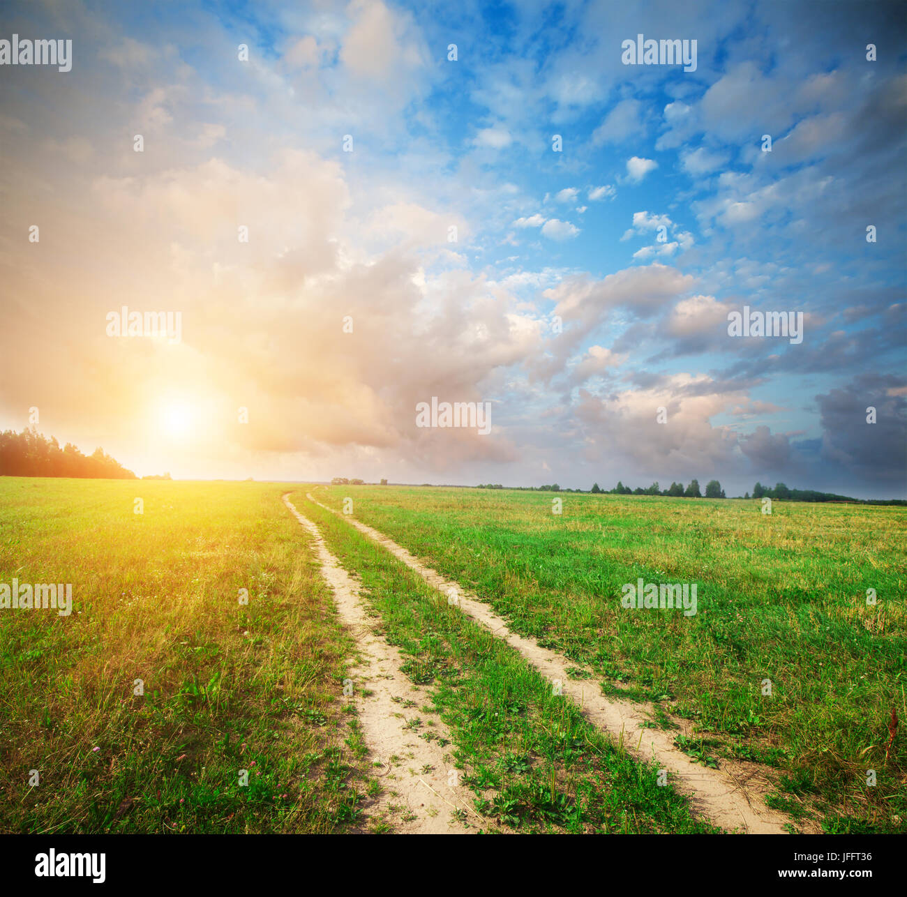beautiful field and road Stock Photo - Alamy