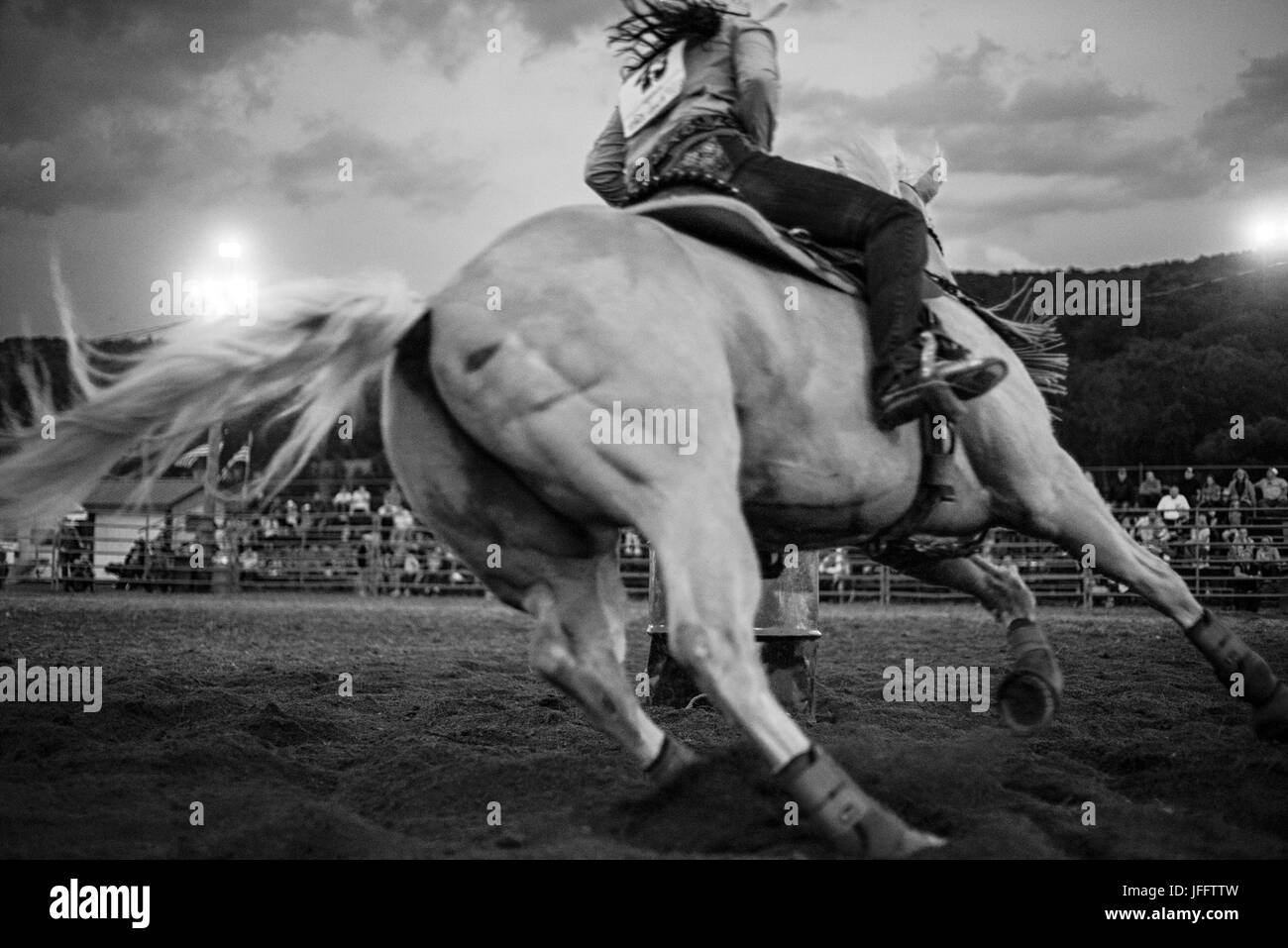 Rodeo Black and White Stock Photos & Images - Alamy