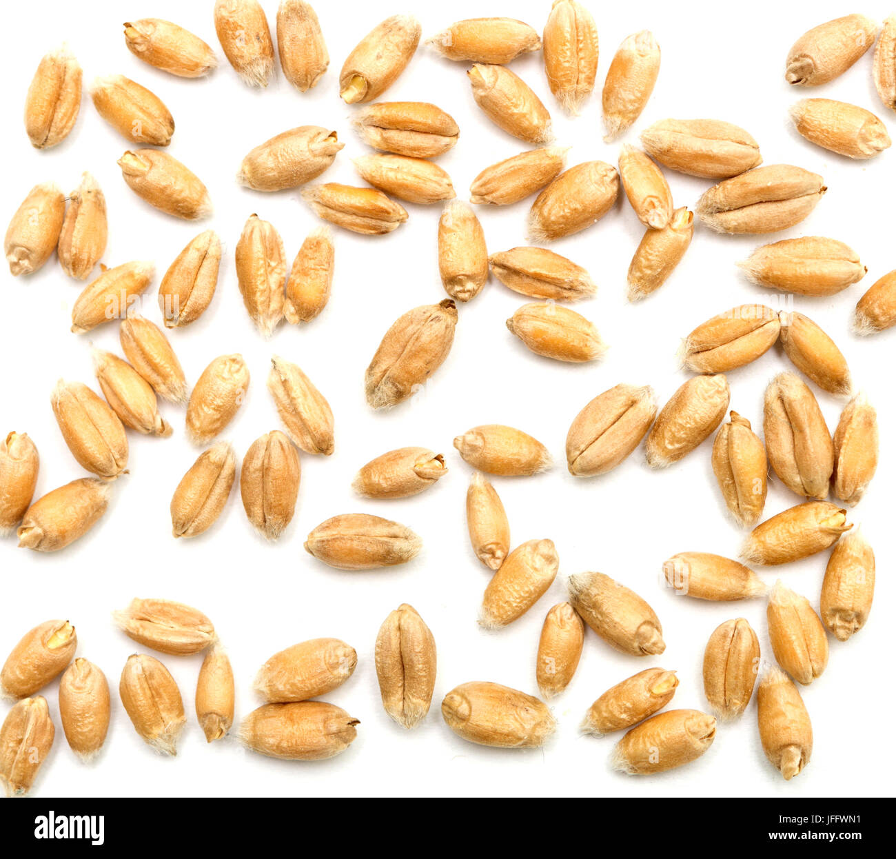 White wheat grains hi-res stock photography and images - Alamy