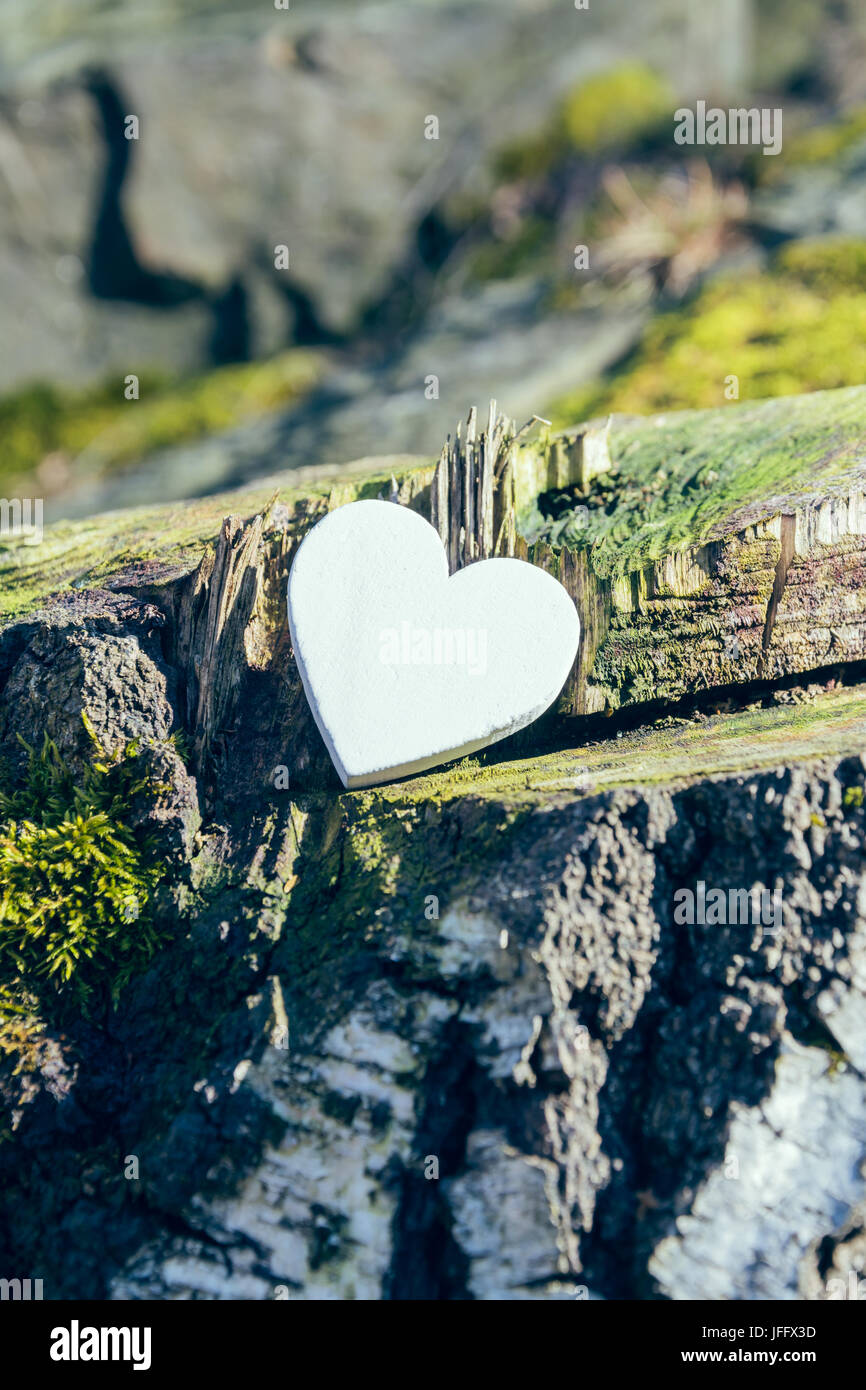 Stump shape hi-res stock photography and images - Alamy