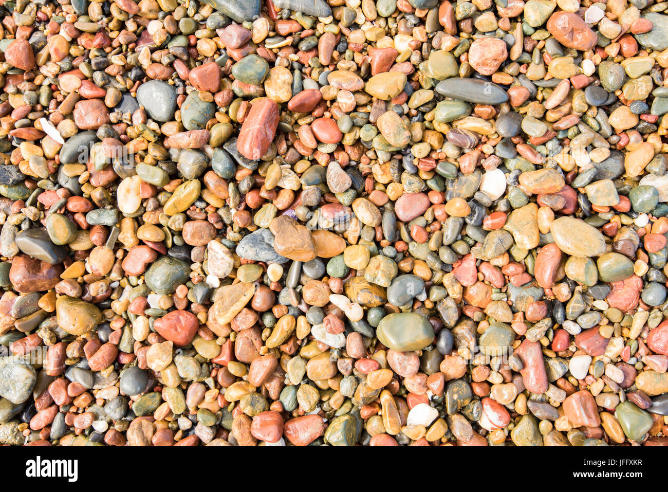 Dry multicoloured pebbles on a beach in Australia Stock Photo - Alamy
